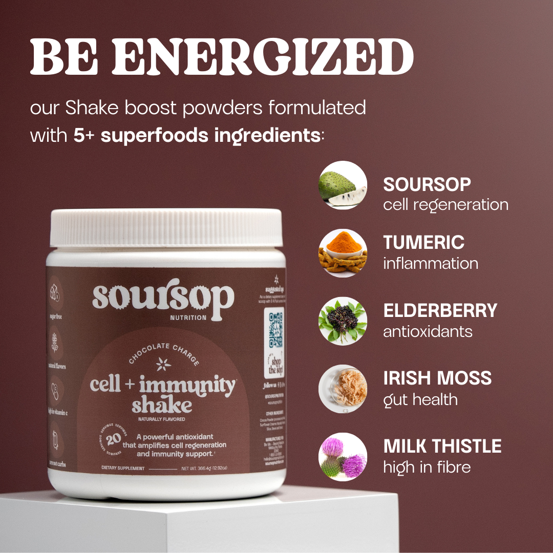 Soursop Chocolate Charge Shake – Soursop Nutrition